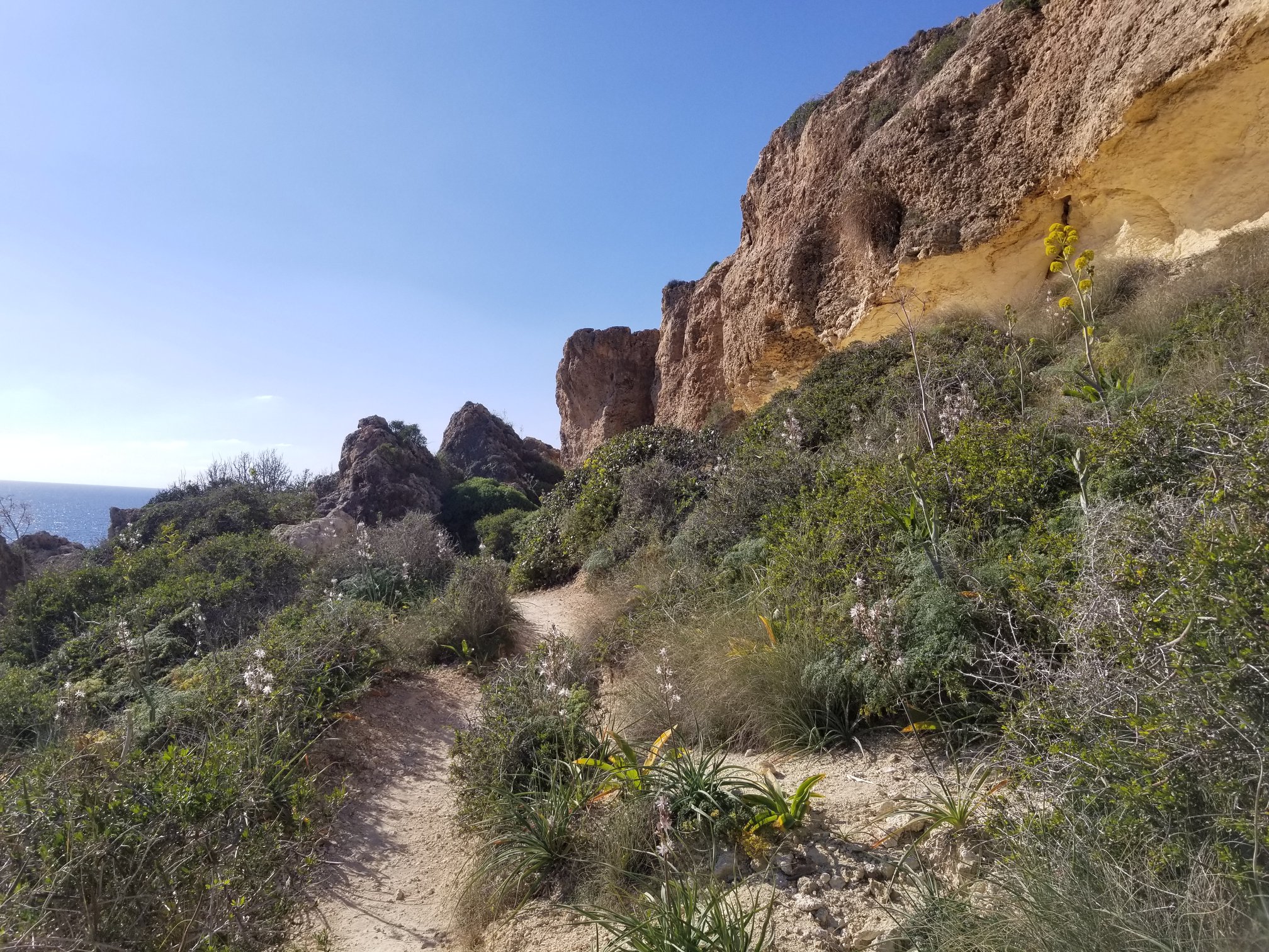 Best Coastal Walks in Malta, from Popeye village to Mdjar